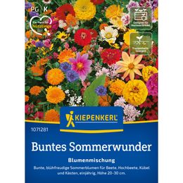Blumenmischung 'Buntes Sommerwunder'
