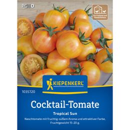 Cocktail-Tomate 'Tropical Sun' F1-Hybride