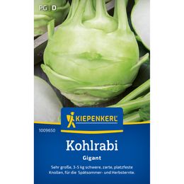 Kohlrabi 'Gigant'