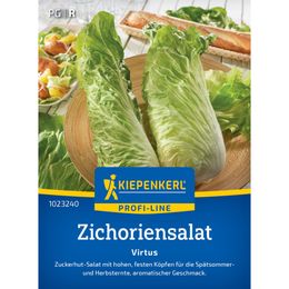 Zichoriensalat 'Virtus' F1-Hybride
