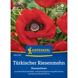 T&uuml;rkischer Riesemohn Olympiafeuer'