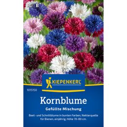 Kornblume 'Gef&uuml;llte Mischung'
