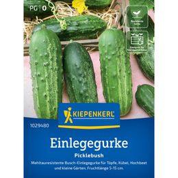 Einlegegurke 'Picklebush'