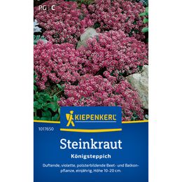 Steinkraut 'K&ouml;nigsteppich'