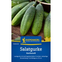 Salatgurke 'Delikate&szlig;'