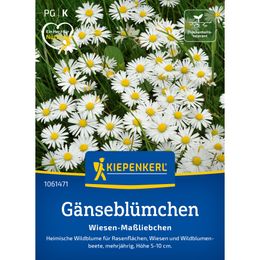 G&auml;nsebl&uuml;mchen 'Wiesen-Ma&szlig;liebchen'
