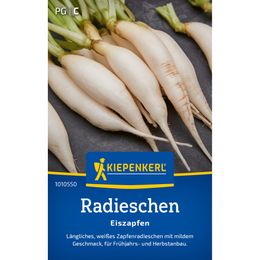 Radieschen 'Eiszapfen'