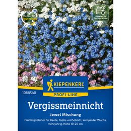Vergissmeinnicht 'Jewel Mischung'