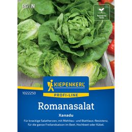 Romanasalat 'Xanadu'
