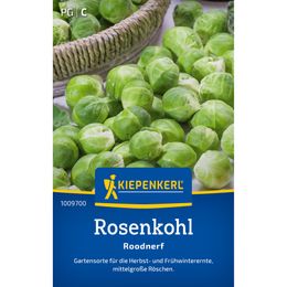 Rosenkohl 'Roodnerf'