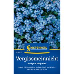 Vergissmeinnicht 'Indigo Compacta'