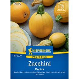 Zucchini 'Mareva' F1-Hybride