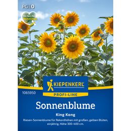 Sonnenblume 'King Kong'