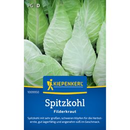 Spitzkohl 'Filderkraut'