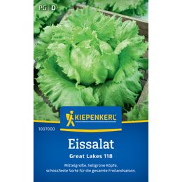 Eissalat 'Great Lakes 118'
