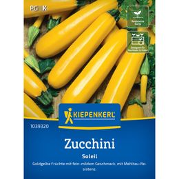 Zucchini 'Soleil' F1-Hybride