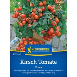 Kirsch-Tomate 'Vilma'