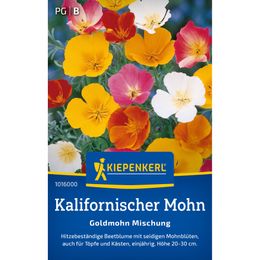 Kalifornischer Mohn 'Goldmohn Mischung'