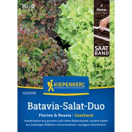 Batavia-Salat-Duo 'Florine & Rossia' Saatband 5 m