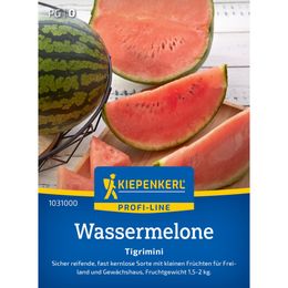 Wassermelone 'Tigrimini' F1-Hybride