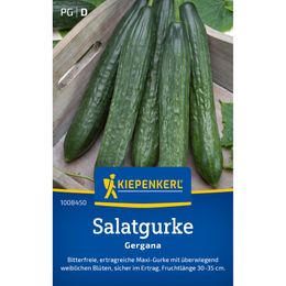Salatgurke 'Gergana'