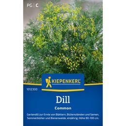 Dill 'Common'