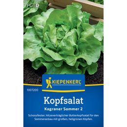 Kopfsalat 'Kagraner Sommer 2'