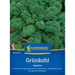 Gr&uuml;nkohl 'Kapitan' F1-Hybride