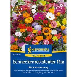 Blumenmischung 'Schneckenresistenter Mix'