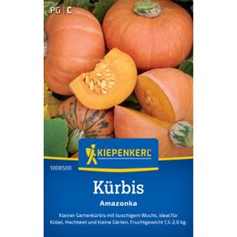 K&uuml;rbis 'Amazonka'