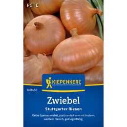 Zwiebel 'Stuttgarter Riesen'