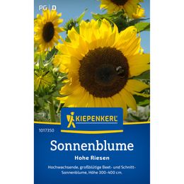 Sonnenblume 'Hohe Riesen'
