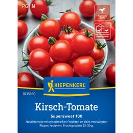 Kirsch-Tomate 'Supersweet 100' F1-Hybride