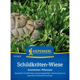 Schildkr&ouml;tenmischung Gr&uuml;nfutter-Pflanzen