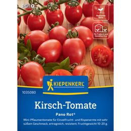 Kirsch-Tomate 'Pano Rot ' F1-Hybride