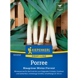 Porree 'Blaugr&uuml;ner Winter/Forrest'