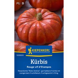 K&uuml;rbis 'Rouge vif d'Etampes'