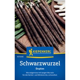 Schwarzwurzel 'Duplex'