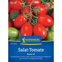 Salat-Tomate 'Roma VF'