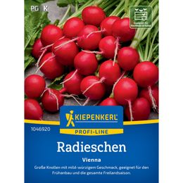 Radieschen 'Vienna' F1-Hybride