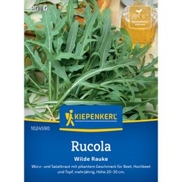 Rucola 'Wilde Rauke'