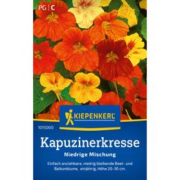 Kapuzinerkresse 'Niedrige Mischung'