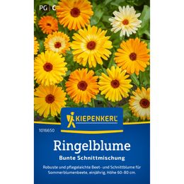 Ringelblume 'Bunte Schnittmischung'