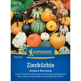 Zierk&uuml;rbis 'Essbare Mischung'