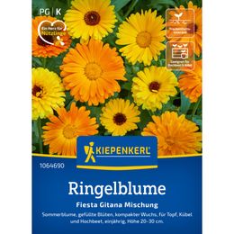 Ringelblume 'Fiesta Gitana Mischung'