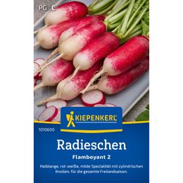 Radieschen 'Flamboyant 2'