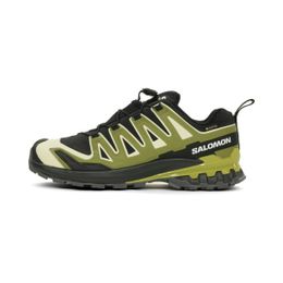 Salomon XA Pro 3D V9 GTX Herren
