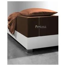 Spannbettlaken Fleuresse "Comfort XL", braun (dunkelbraun), 1 Stk., Mako-Jersey, 180x200 180x210 180x220 190x200 190x210 190x220 200x200 200x210 200x220 40cm, Mako-Jersey, Obermaterial: 96% Baumwolle, 4% Elasthan (LYCRA), Bettlaken, Spannbettlaken, Mako-Jersey, f&uuml;r Matratzen bis 40 cm H&ouml;he, Bettlaken, Spannbetttuch
