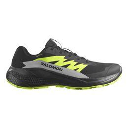 Salomon Alphaglide GTX Schuhe Herren schwarz 46.0
