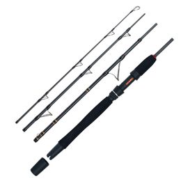 WFT Go North II 4pcs. 20lbs 2,10m 100-400g Meeres-Reiserute